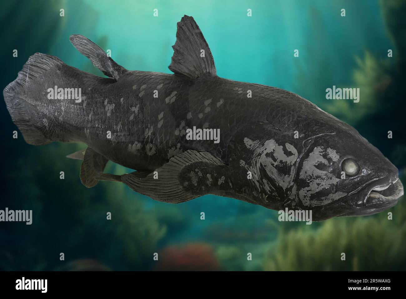 Cretaceous period underwater hi-res stock photography and images - Alamy