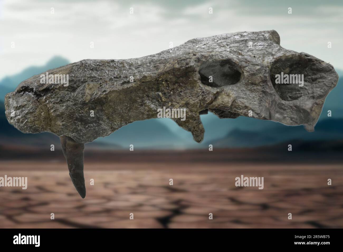The IInostrancevia Alexandri is an extinct species of therapsid that ...