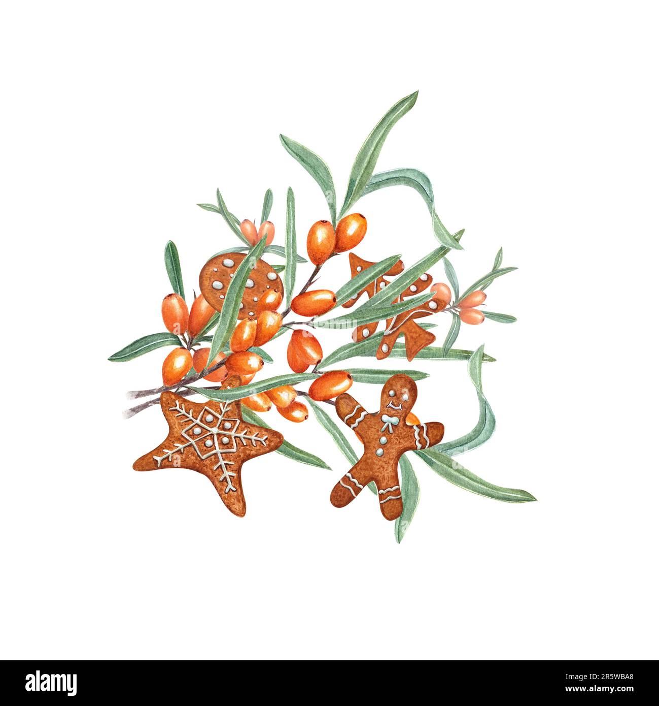 Watercolor traditional Christmas gingerbread cookies with sea buckthorn ...