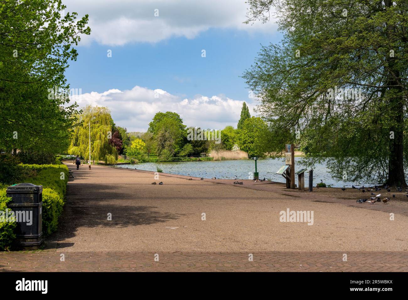 Promenade along the lake shore of the Mere in Ellesmere in Shropshire ...