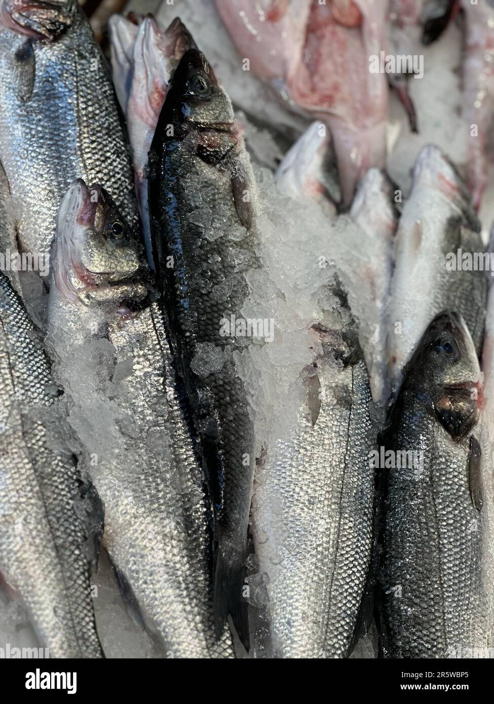 Texturephoto hi-res stock photography and images - Alamy