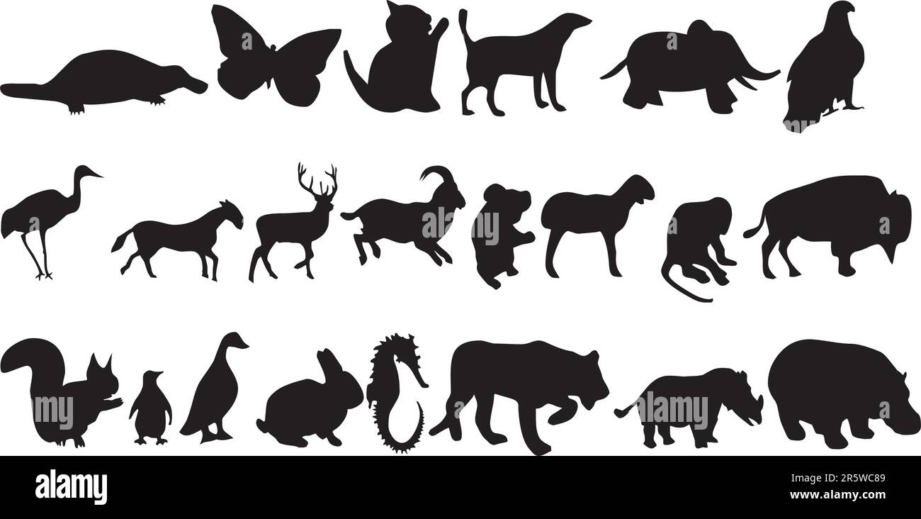 Illustration of Animal Silouettes - Vector Stock Vector Image & Art - Alamy