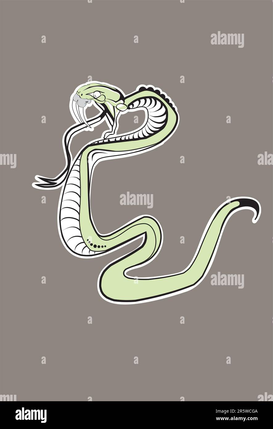 Vector illustration. Green Snake Stock Vector Image & Art - Alamy