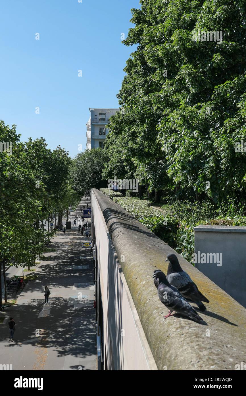Paris, Promenade Plantée // Paris, Promenade Plantée Stock Photo - Alamy