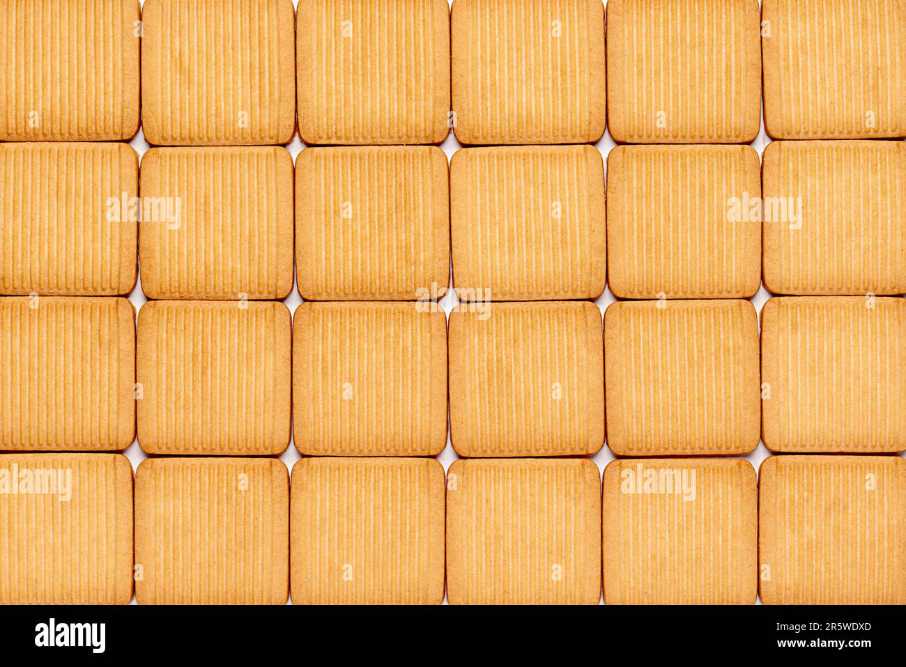 Blank food photography of shortbread, biscuit, cookie, pattern ...