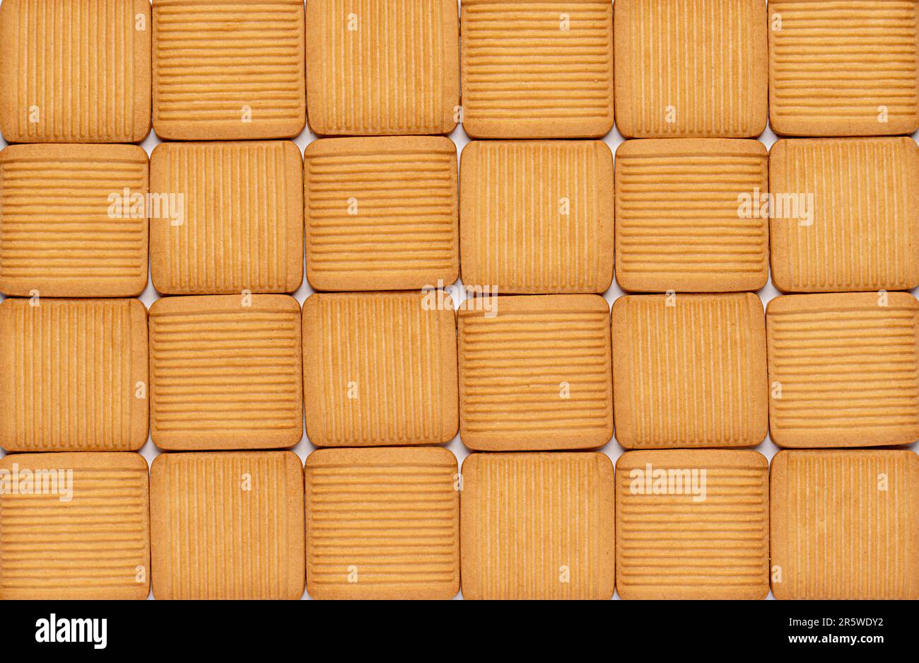 Blank food photography of shortbread, biscuit, cookie, pattern ...