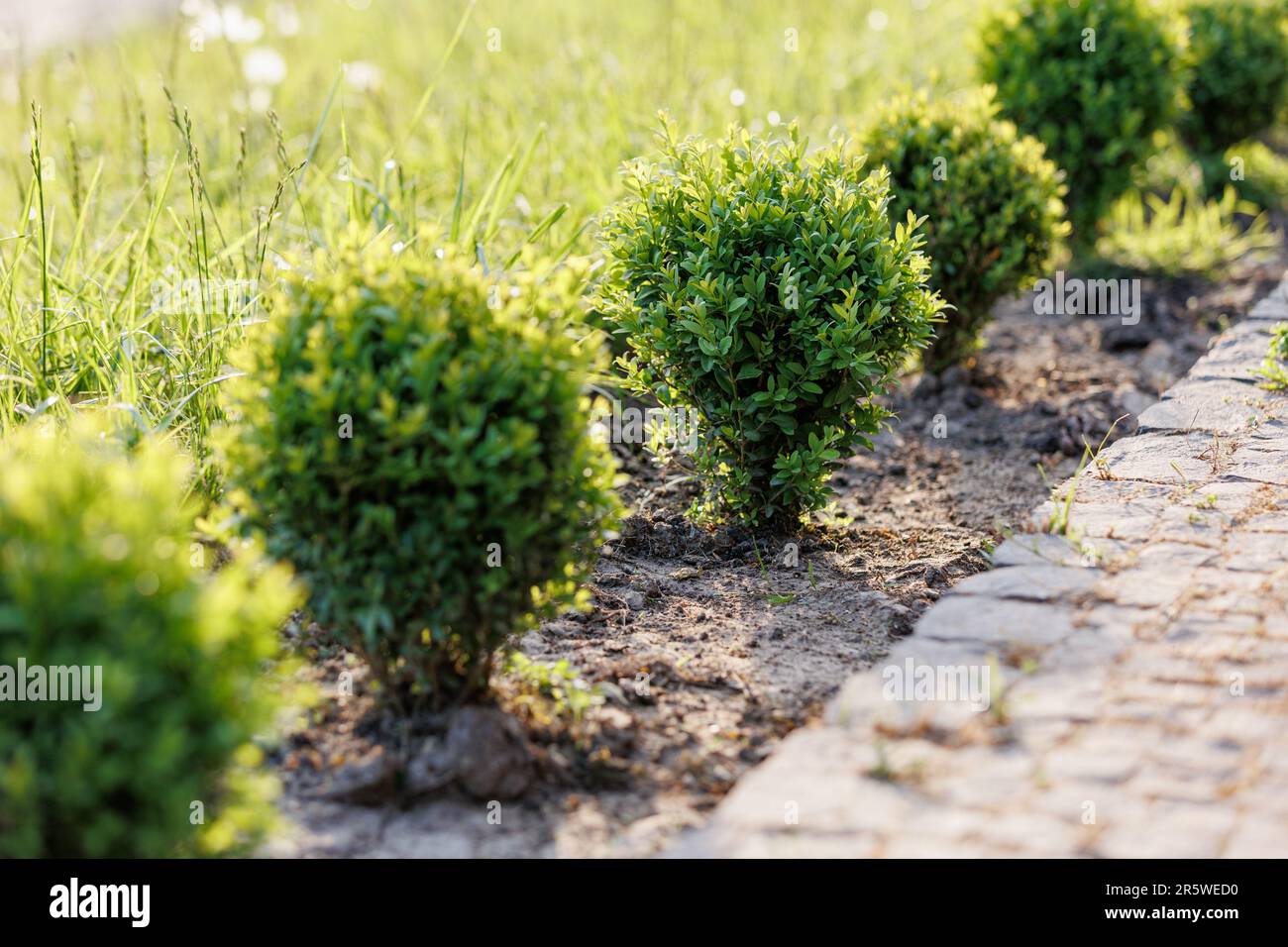 Pedestrian sidewalk near park in hi-res stock photography and images ...