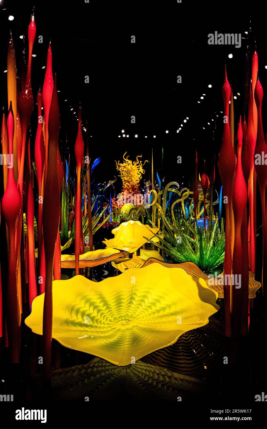 A stunning image of brightly coloured glass sculptures illuminated ...