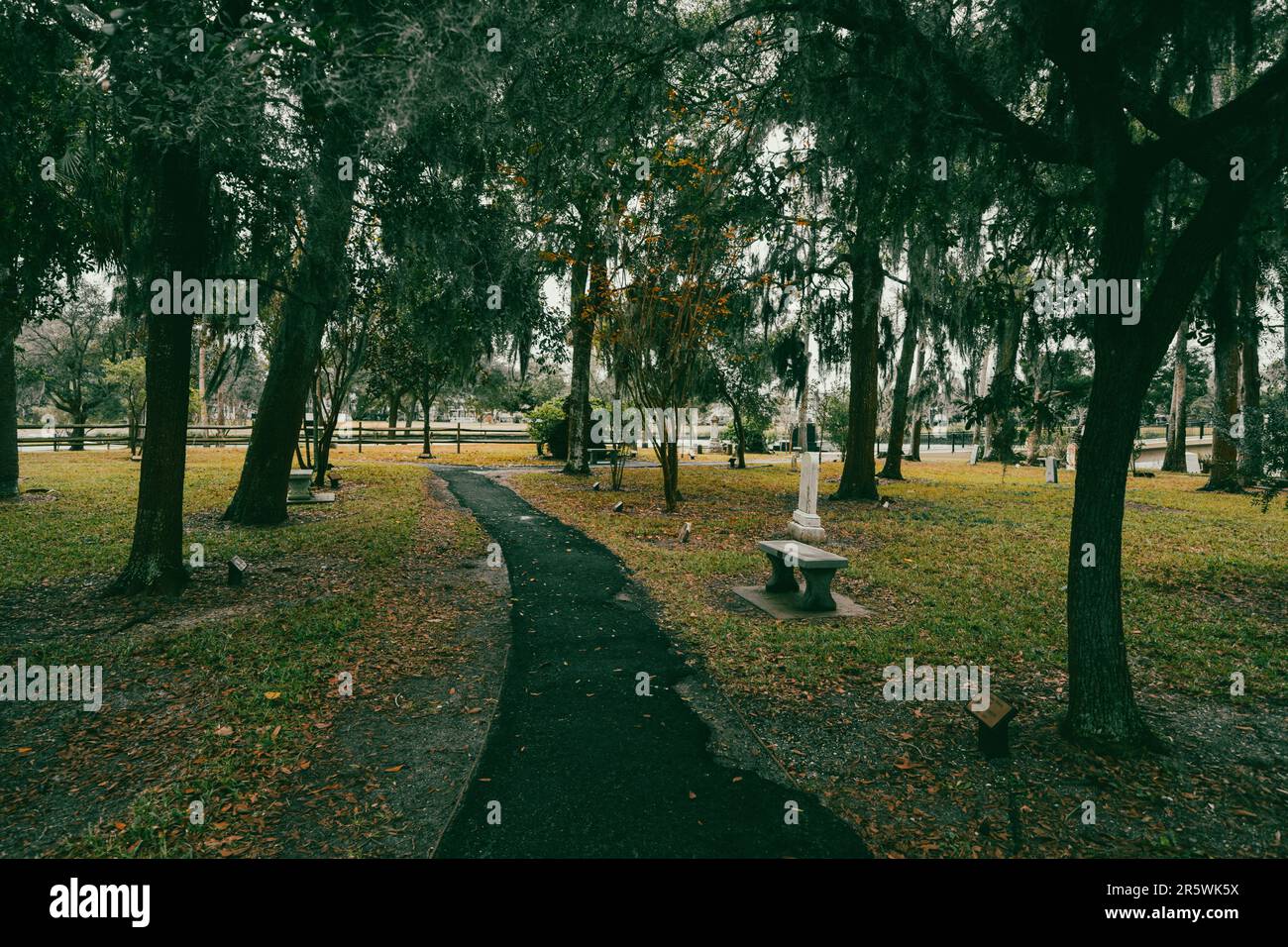 Path leading through a cemetery graveyard with spanish moss hanging ...