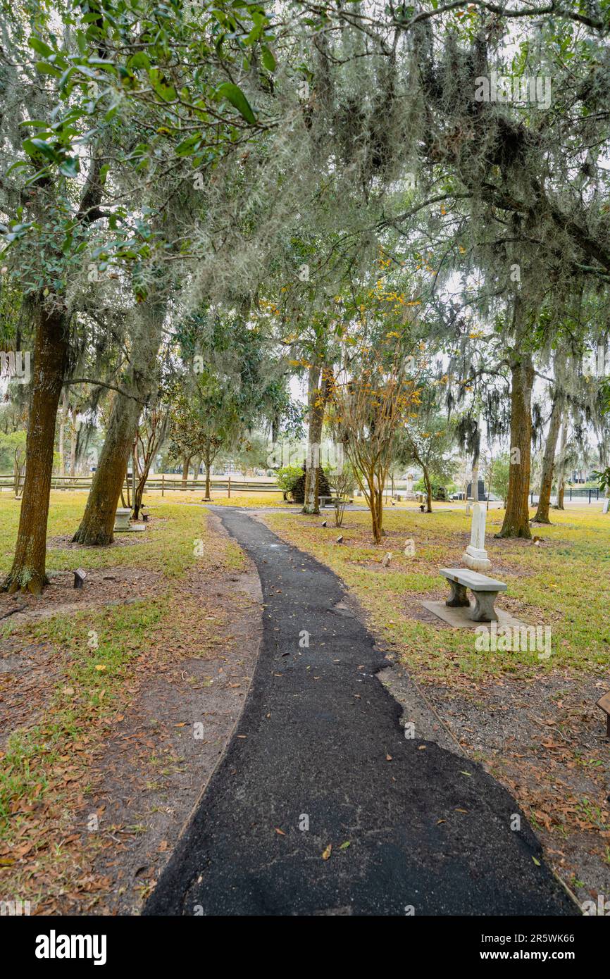 Path leading through a cemetery graveyard with spanish moss hanging ...