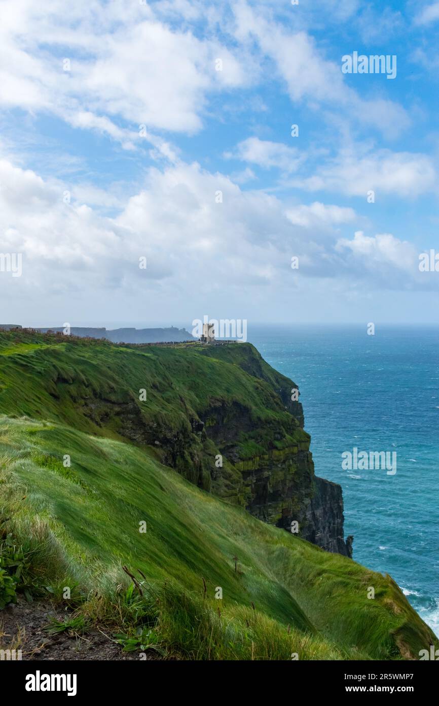 A scenic landscape featuring a grassy field at the shoreline of an ...
