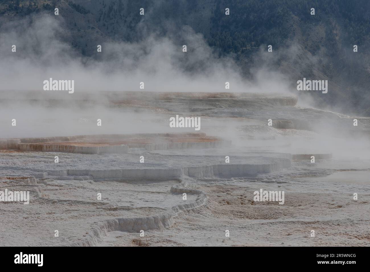 Mammoth Hot Springs Travertine Terraces Landscape in Yellowstone ...