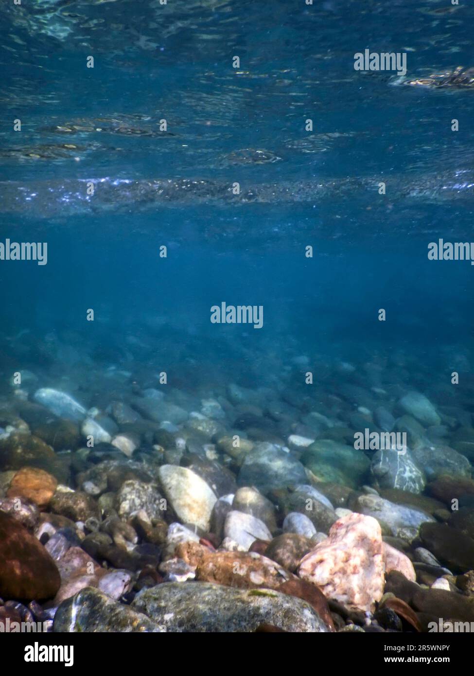 Rocks underwater on riverbed, rivers freshwater underwater, crystal ...