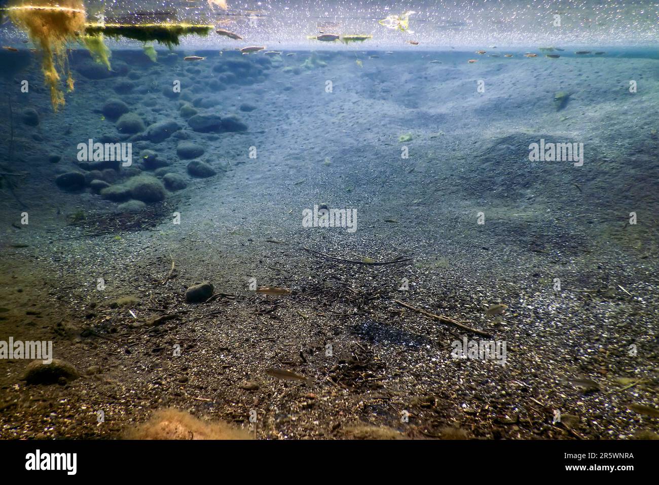 Underwater pebbles and gravel, rivers freshwater underwater, crystal ...