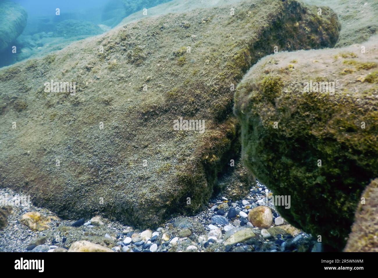 Underwater Rocks and Pebbles on the Seabed Stock Photo - Alamy