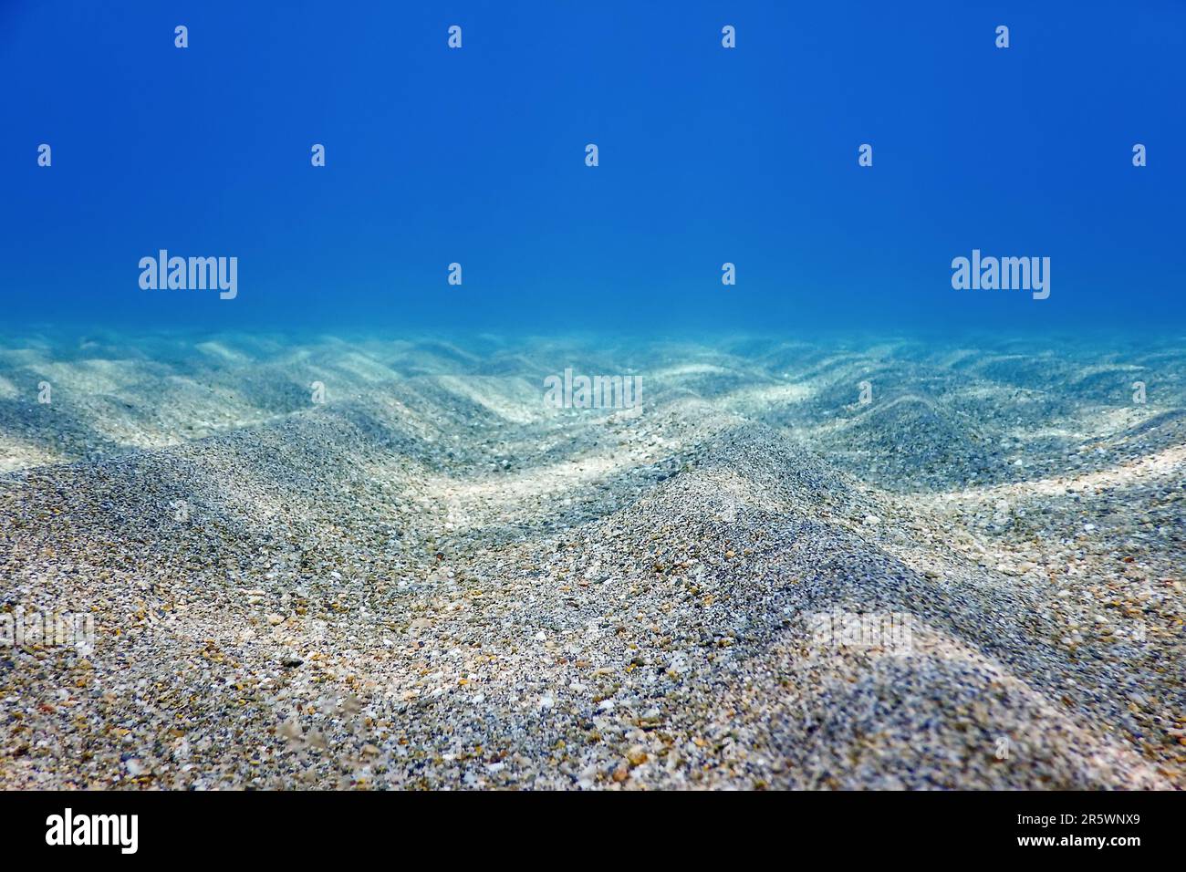 Underwater Blue Ocean, Sandy sea bottom Underwater background Stock ...