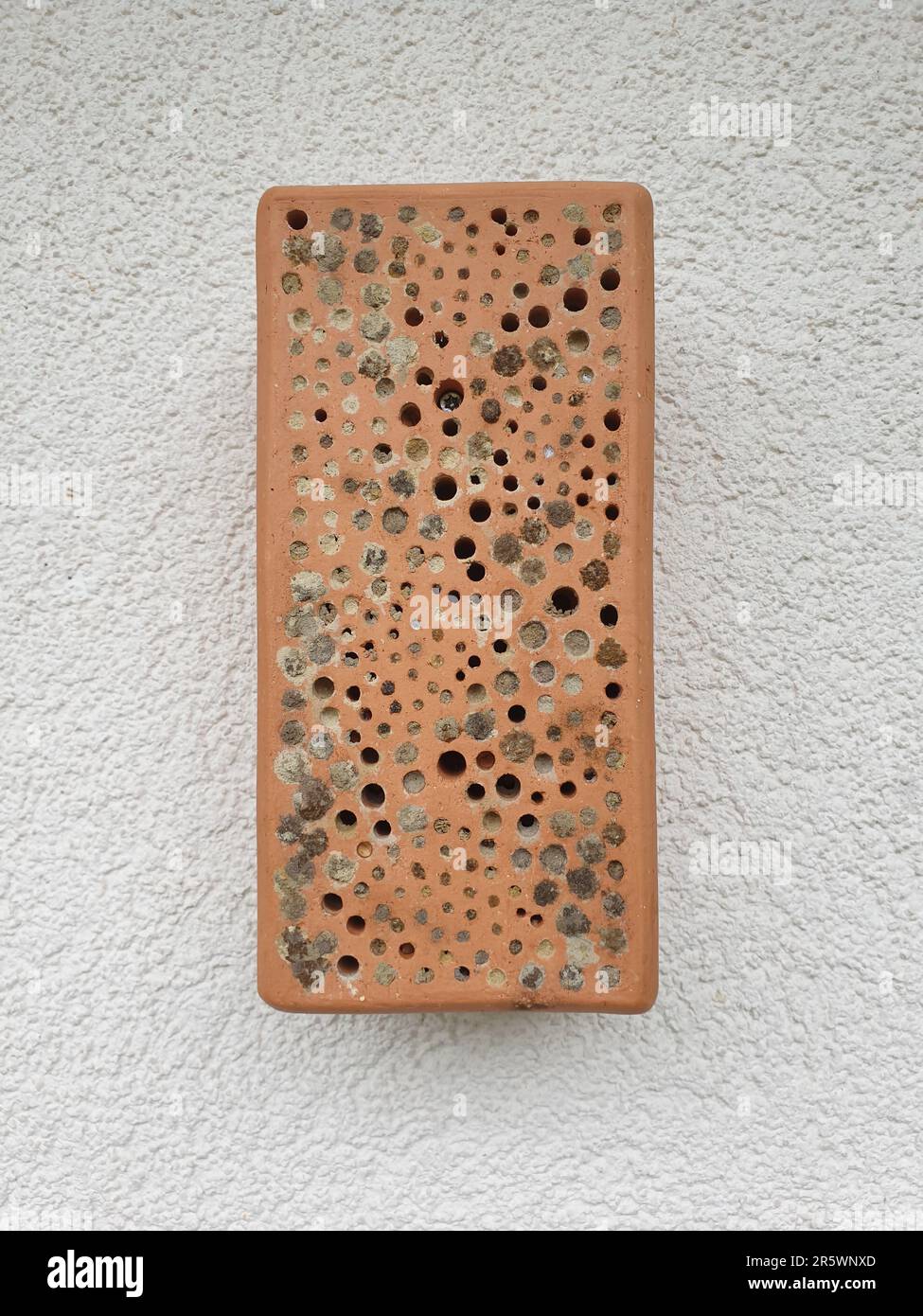 Insect hotel container hi-res stock photography and images - Alamy