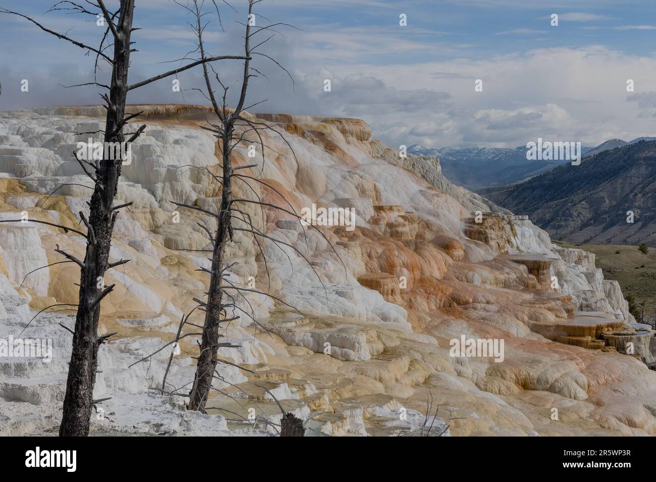 Mammoth Hot Springs Travertine Terraces Landscape in Yellowstone ...