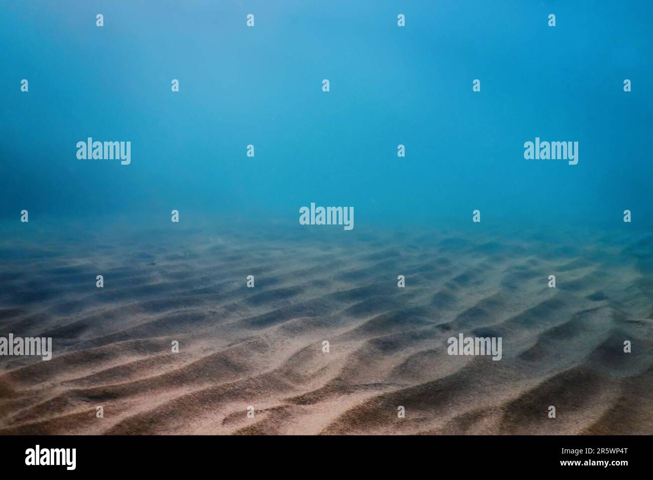 Sandy sea bottom, Sea Underwater background Stock Photo - Alamy