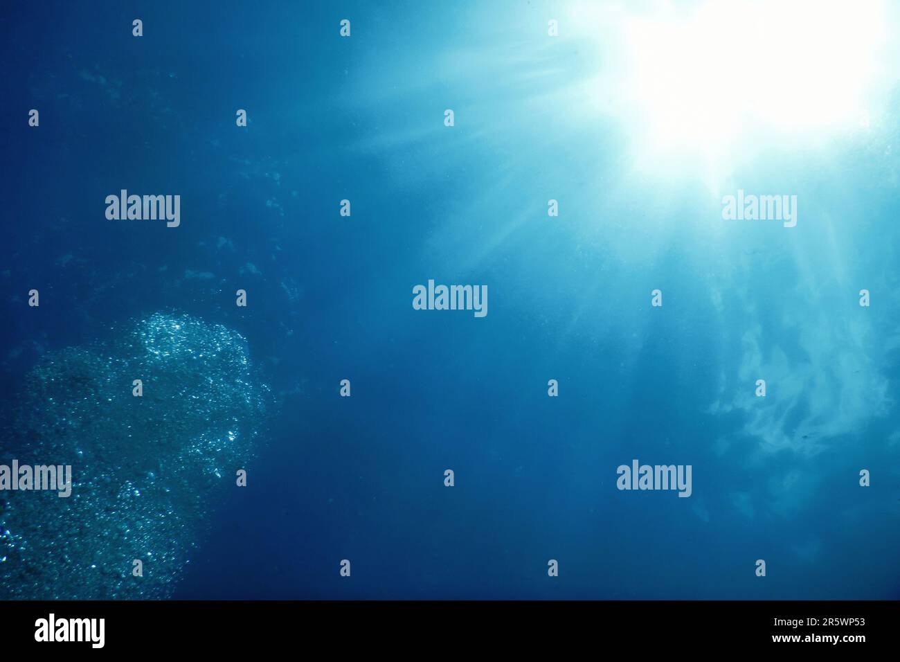 Underwater Scene Sunlight, fish Underwater Life Stock Photo - Alamy