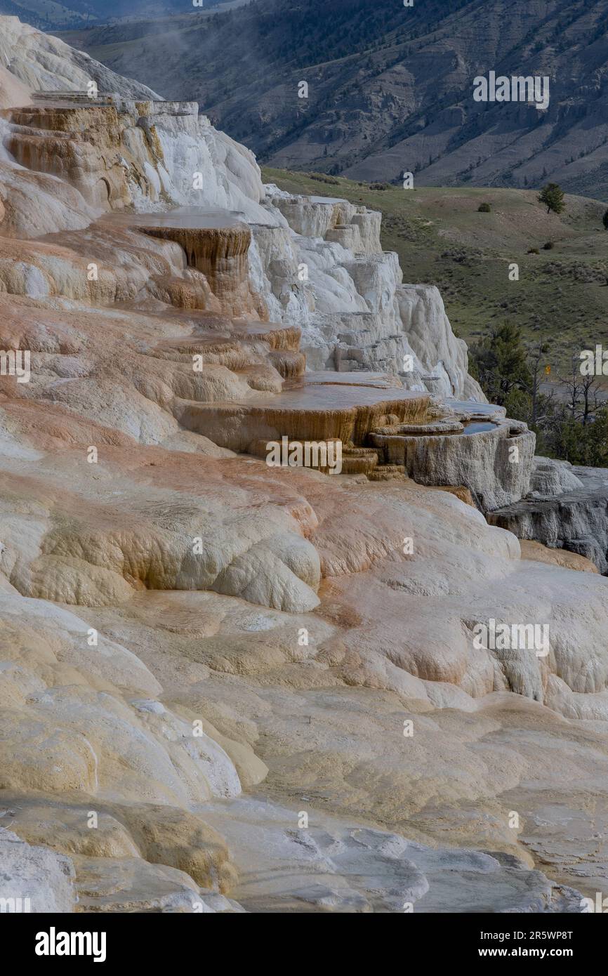 Mammoth Hot Springs Travertine Terraces Landscape in Yellowstone ...