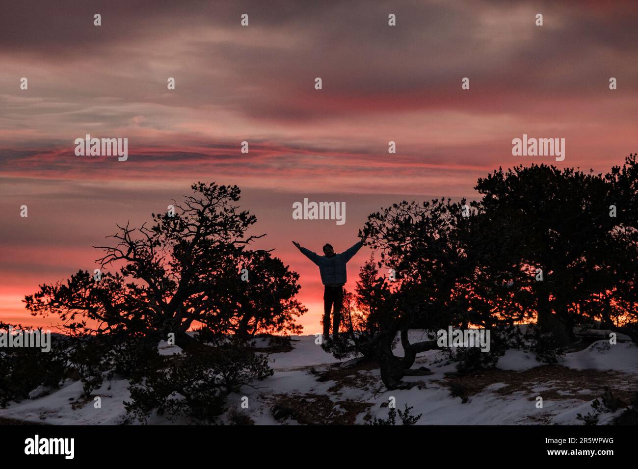 A silhouette of an individual standing in awe and admiration as they ...