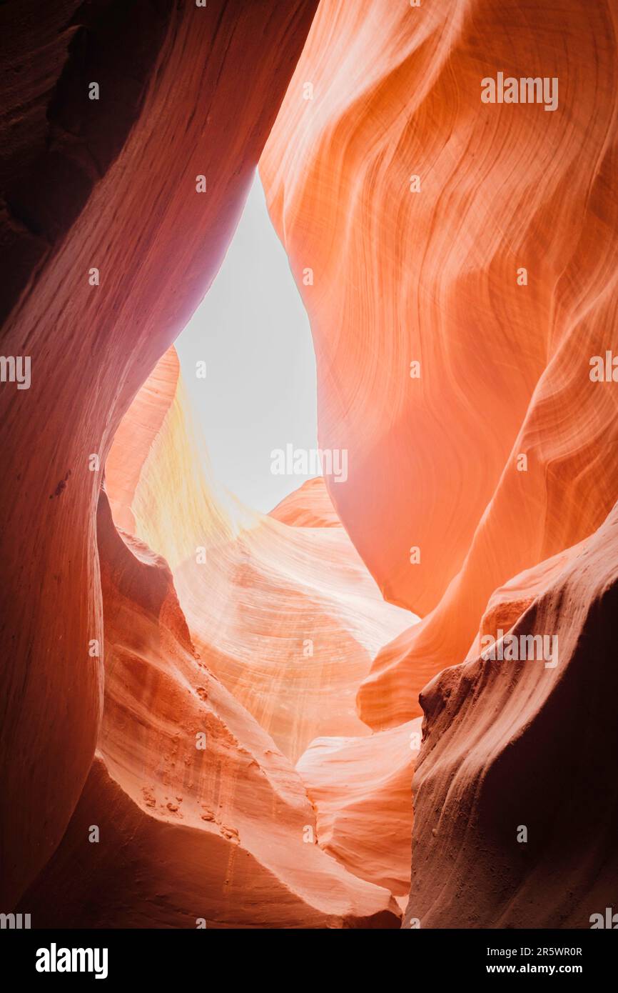 An elevated view of a canyon, with towering rock formations Stock Photo ...