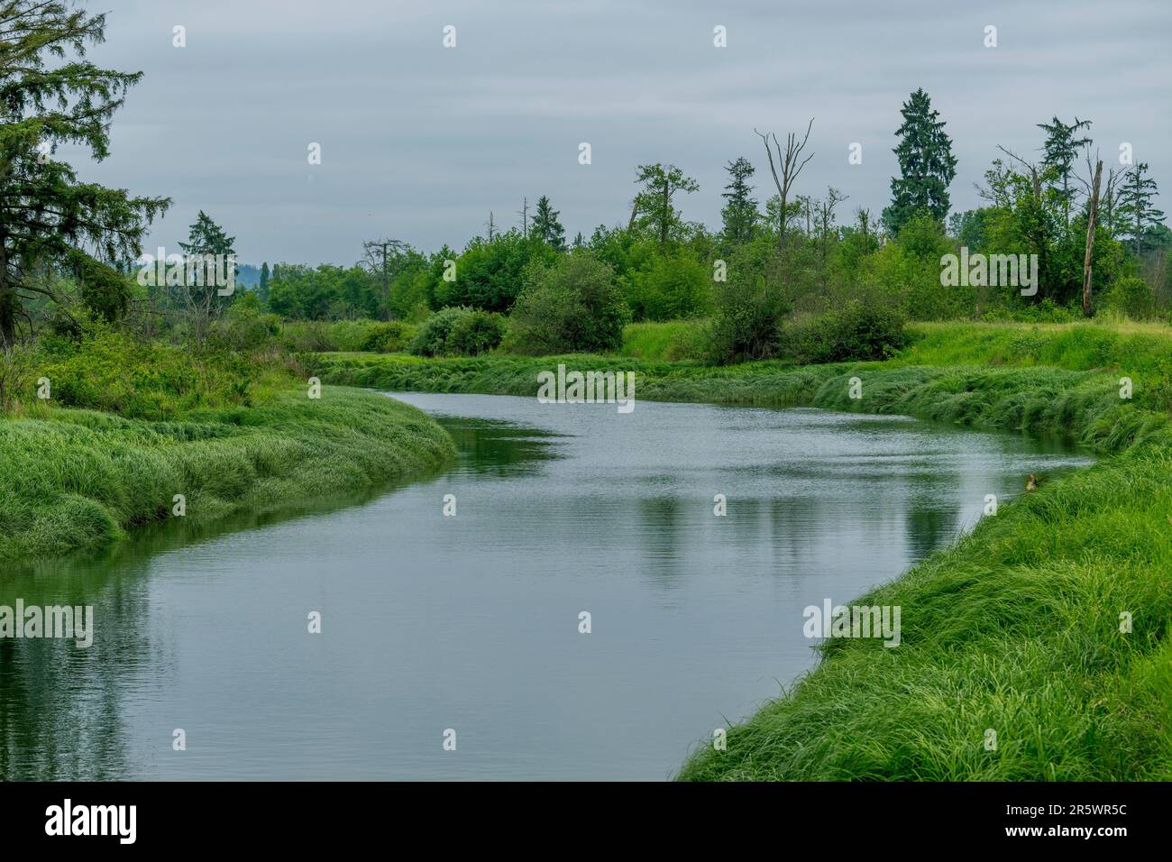 View of the Union Slough from the bridge to Spencer Island, which is ...