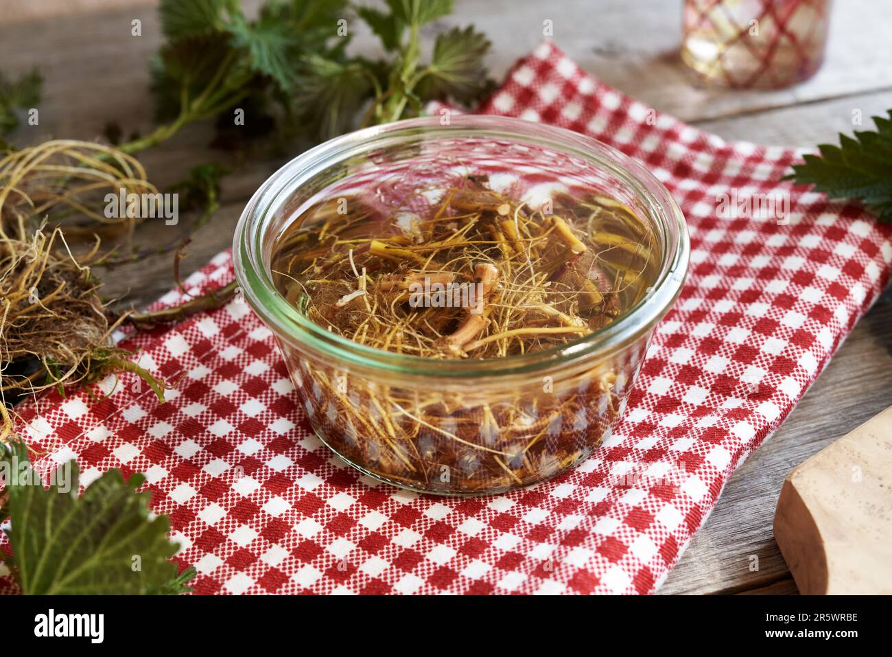 Stinging nettle tincture in a glass jar Stock Photo - Alamy