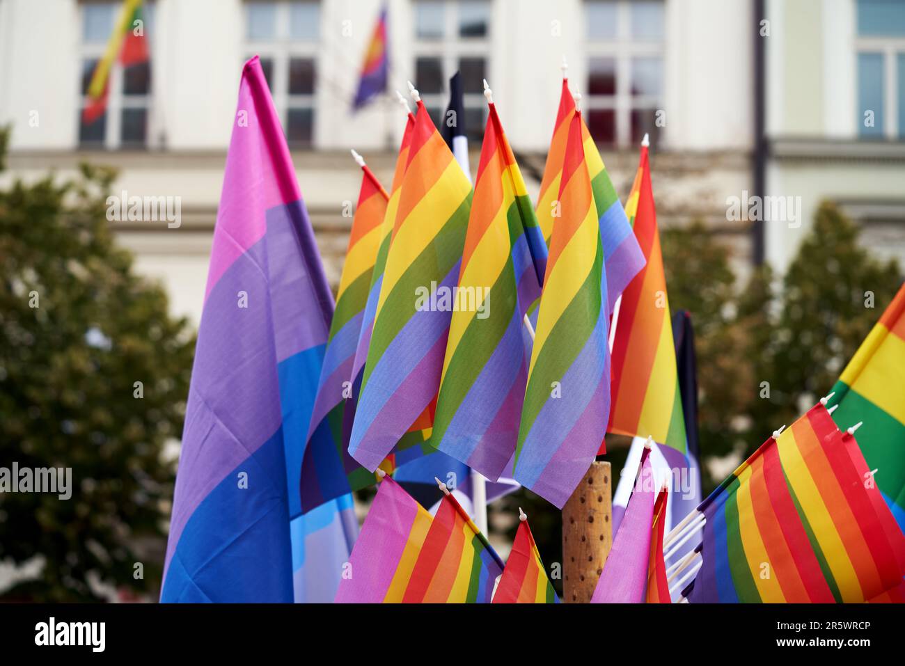 Multi colored rainbow flags in the street during LGBT pride Stock Photo ...