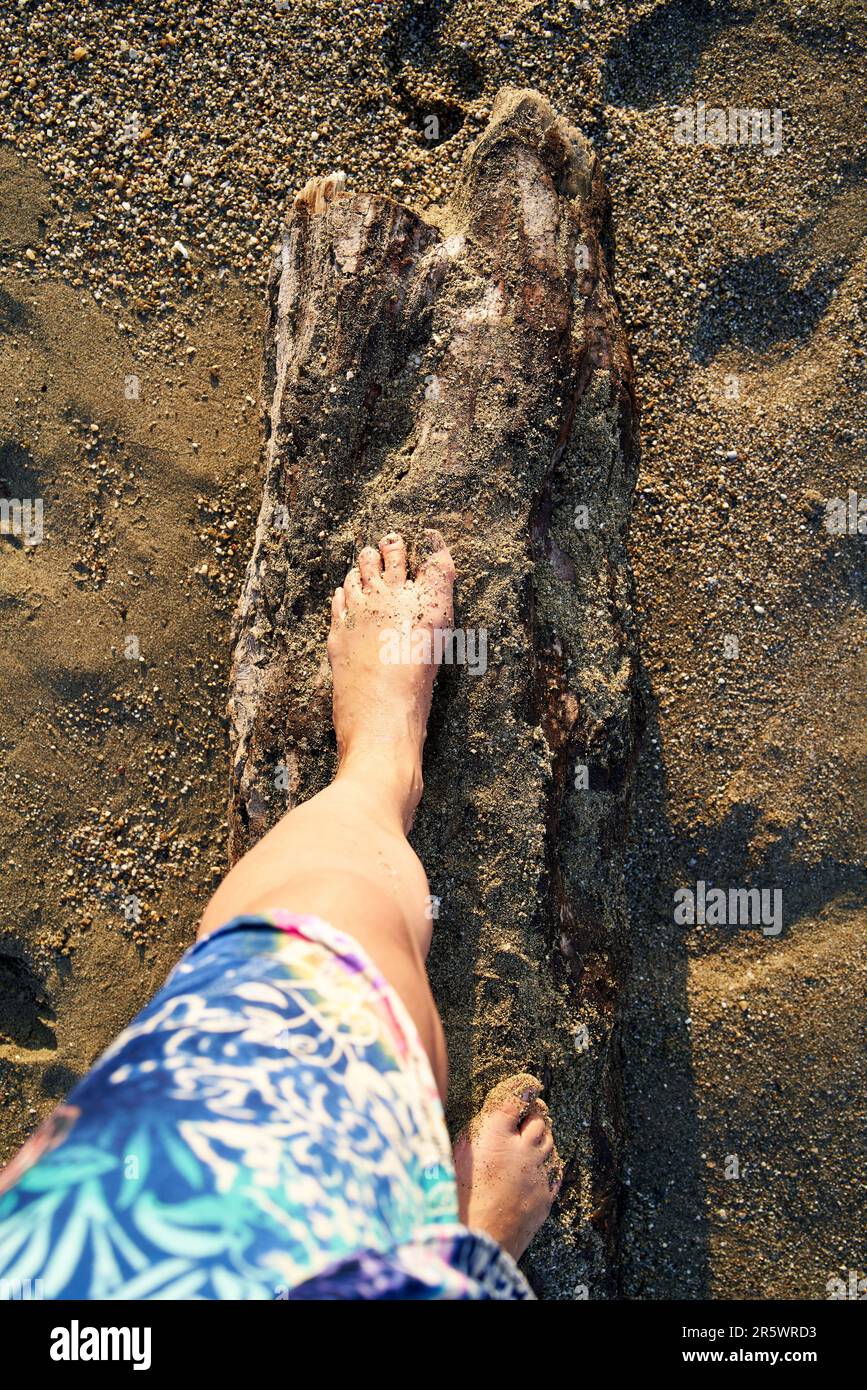 Walking on a log hi-res stock photography and images - Alamy