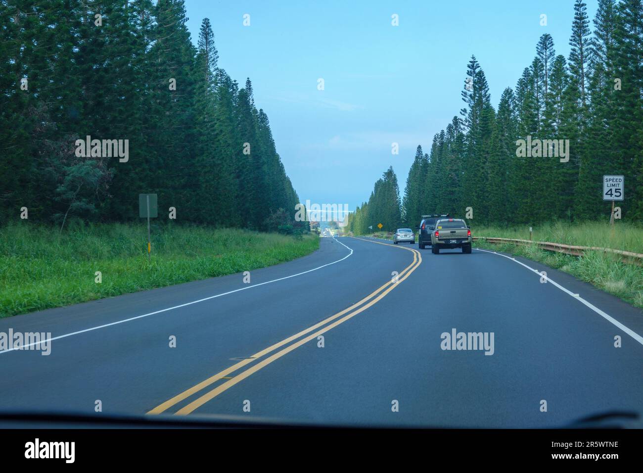 Two cars parked side by side in a street setting, viewed from a slight ...