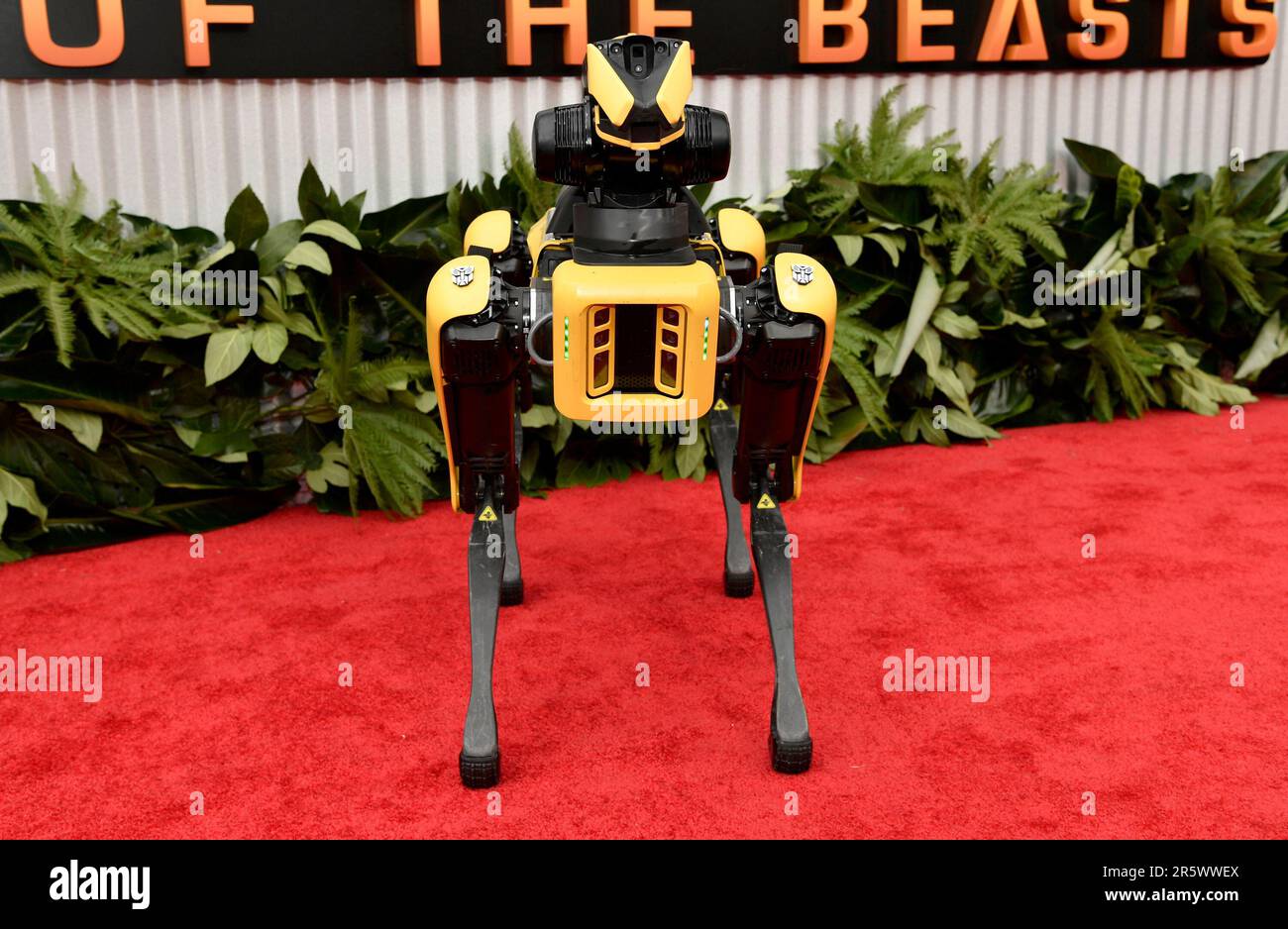 Boston Dynamics' robot Spot appears on the red carpet at the premiere ...