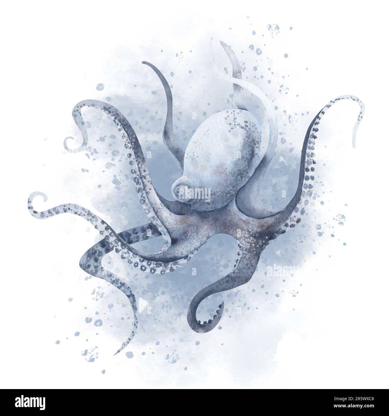 Watercolor Octopus with watercolor water splashes. Hand drawn ...