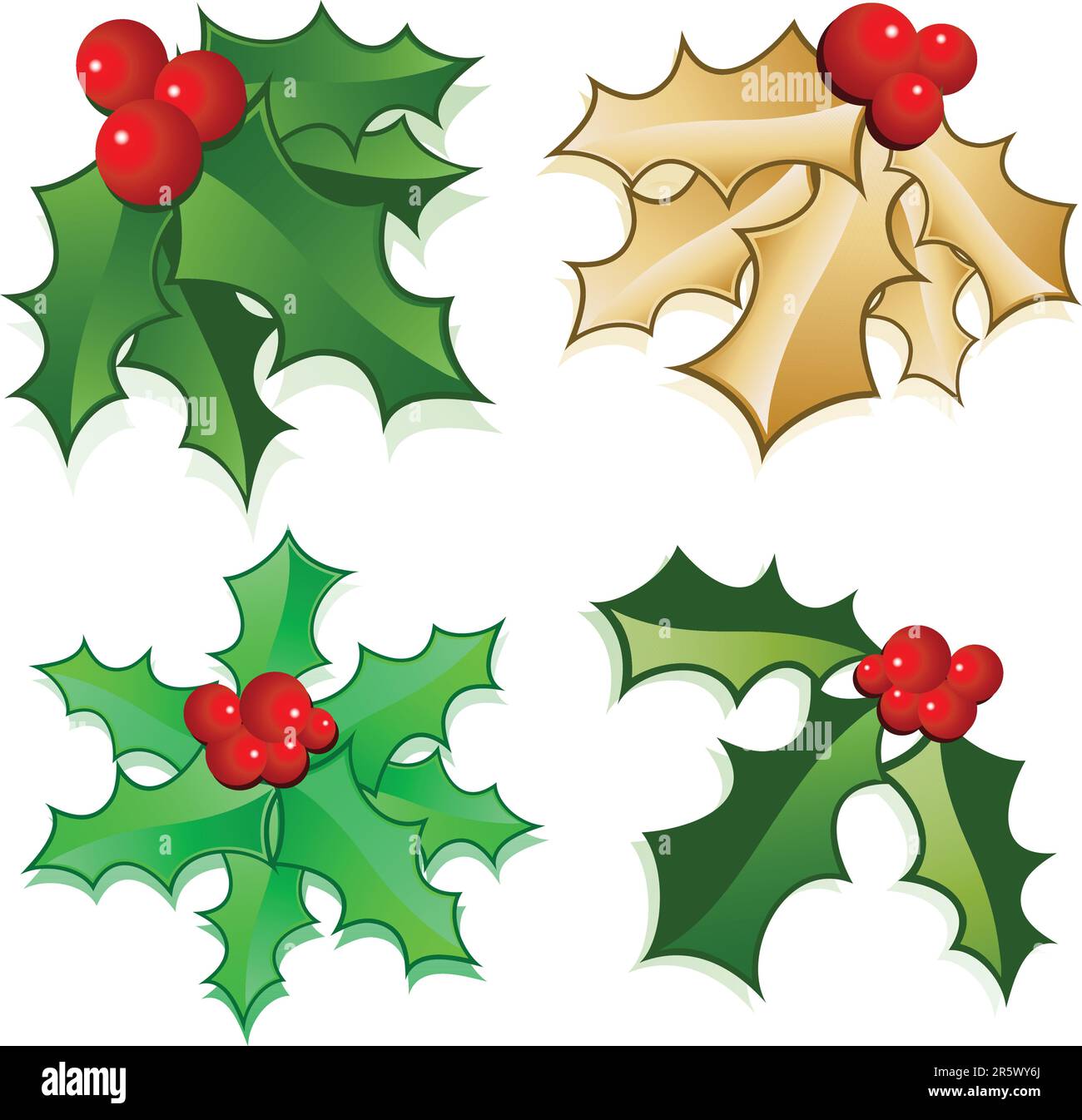Holly with berries winter Stock Vector Images - Alamy