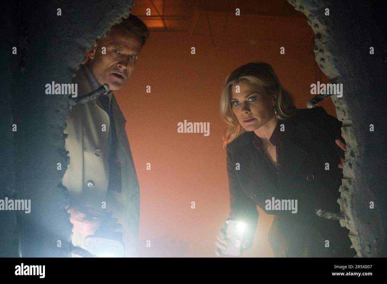 CARROT CAKE MURDER: A HANNAH SWENSEN MYSTERIES, from left: Gabriel Hogan, Alison Sweeney, aired ...