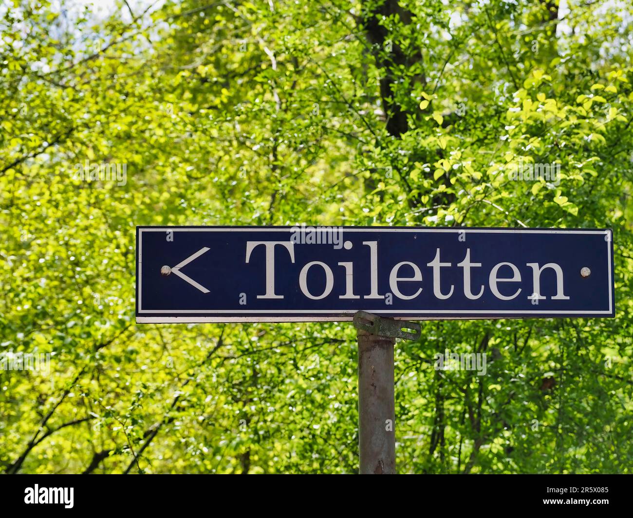A street sign showing toilets on the left side with green, lush trees ...