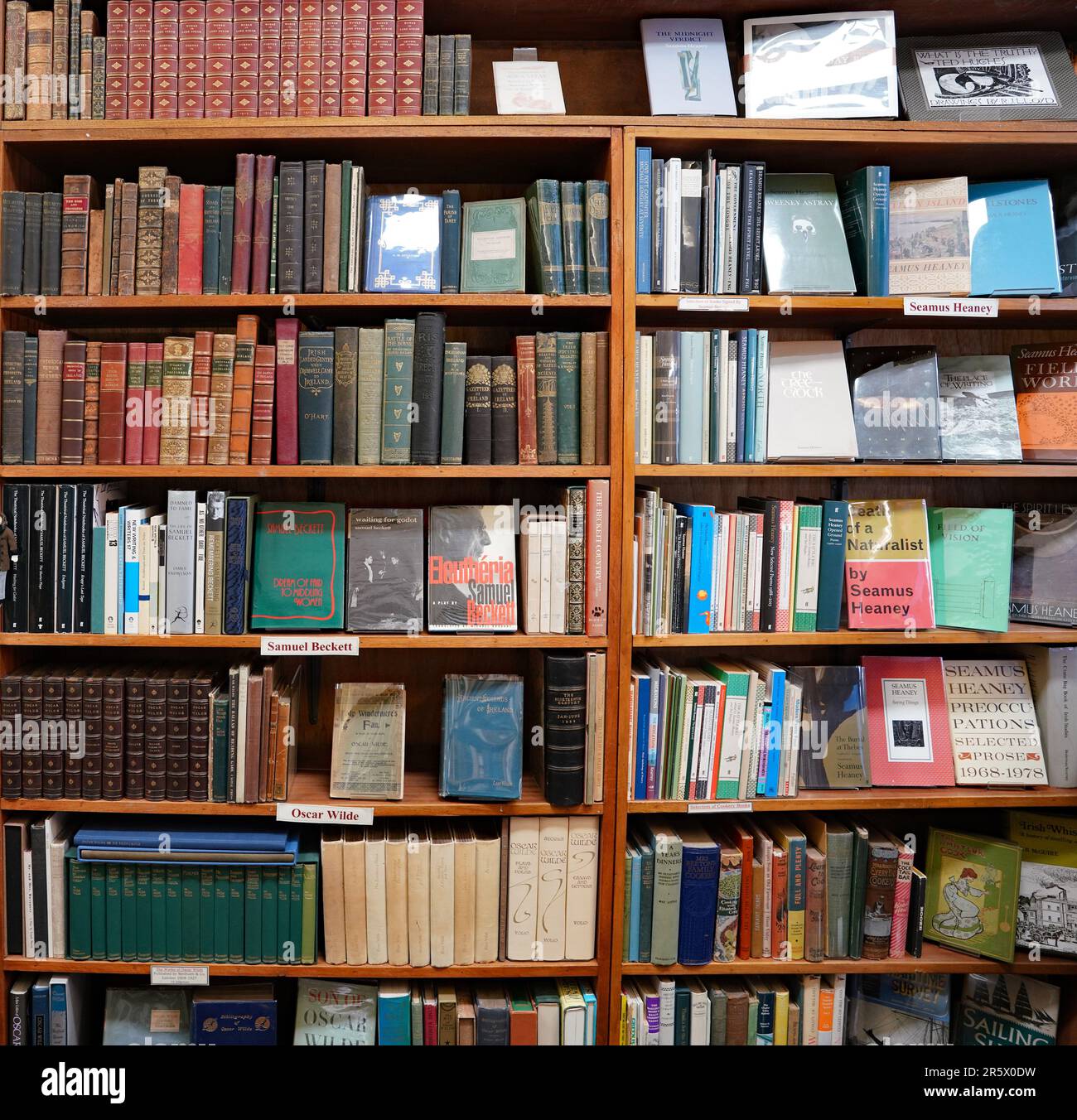 Literary classics in the Ulysses antiquarian bookstore in Dublin Stock ...