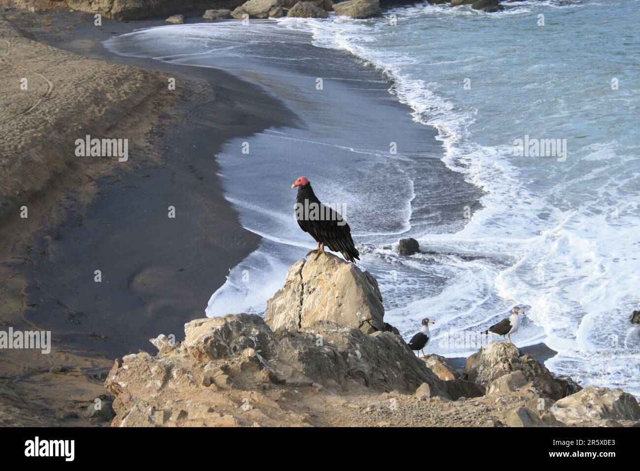 Dark black coastal rocks hi-res stock photography and images - Alamy