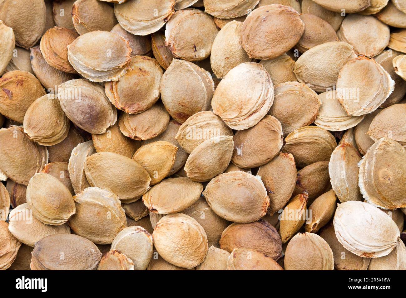 Brown kernels hi-res stock photography and images - Alamy