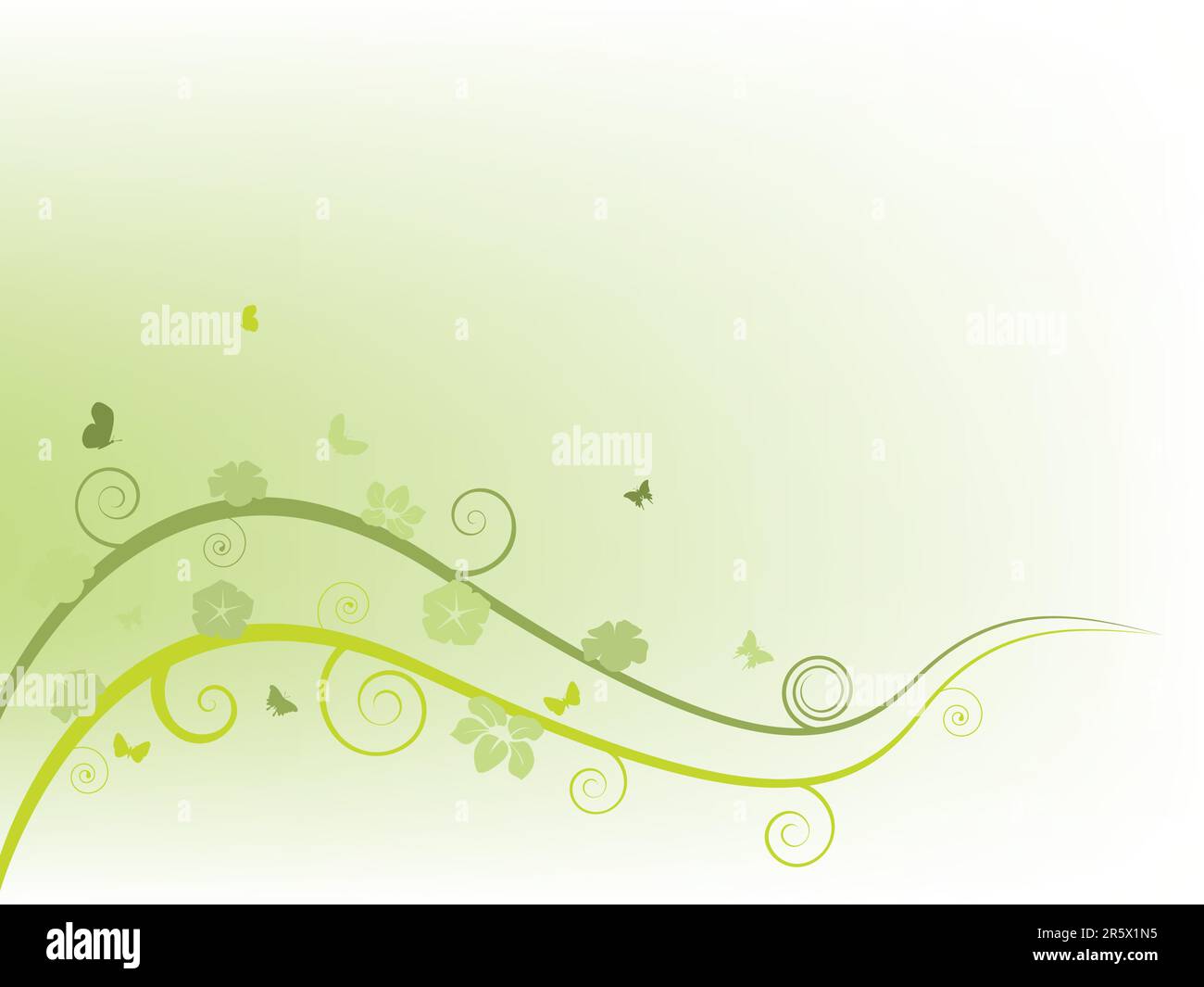 Floral background. More backgrounds in my portfolio Stock Vector Image ...