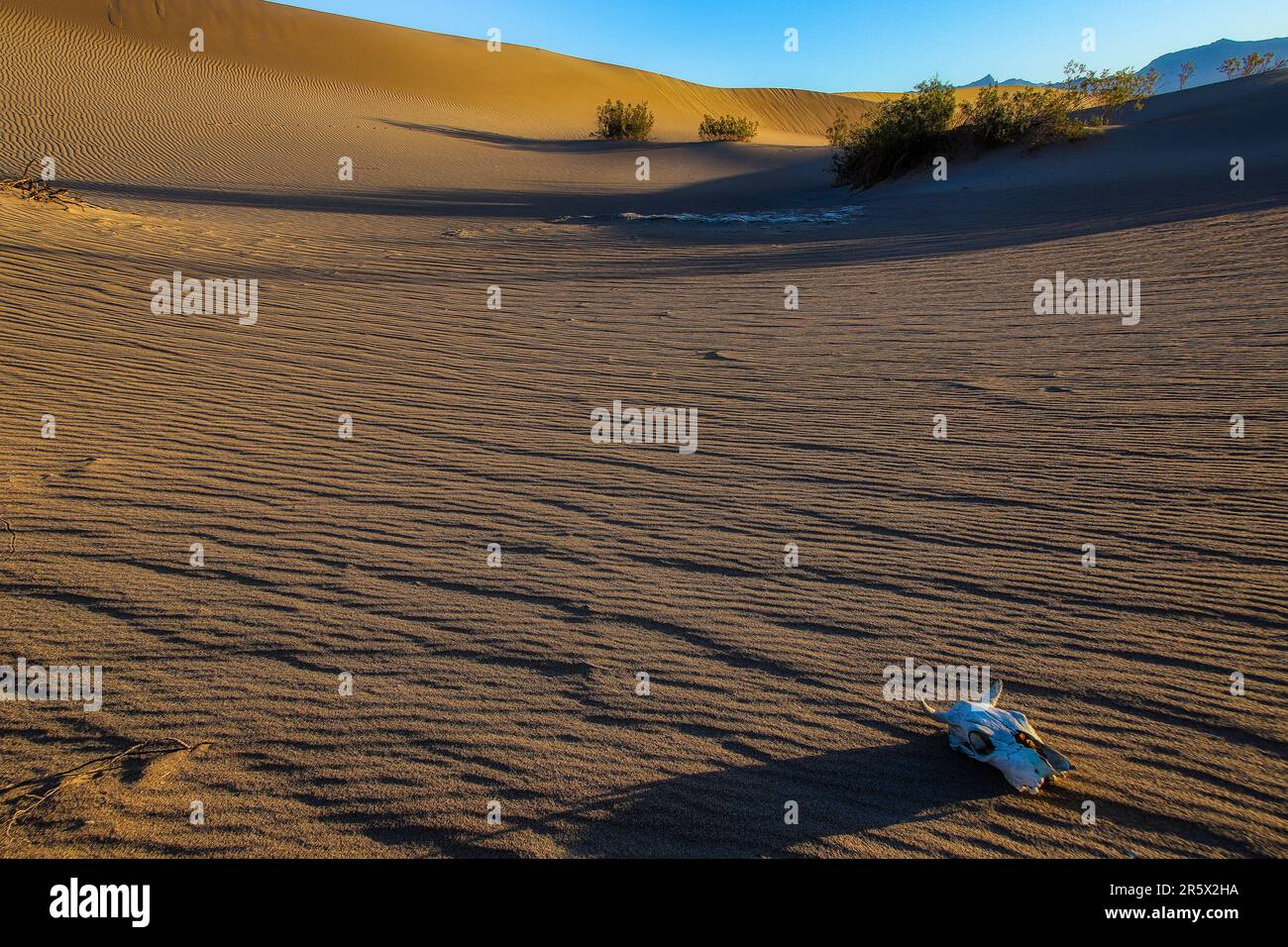 Shadow death hi-res stock photography and images - Alamy