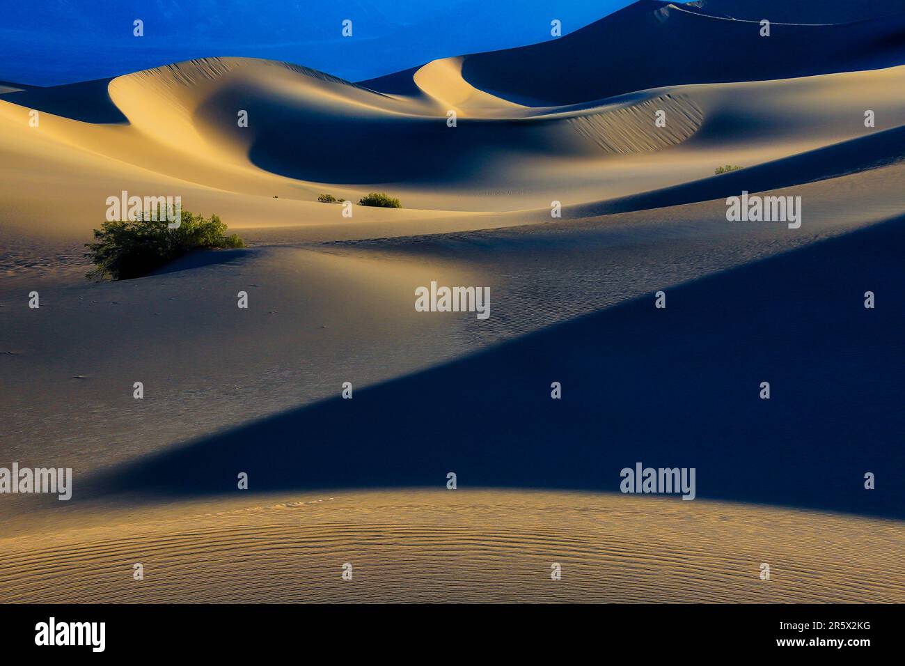 Shifting color hi-res stock photography and images - Alamy