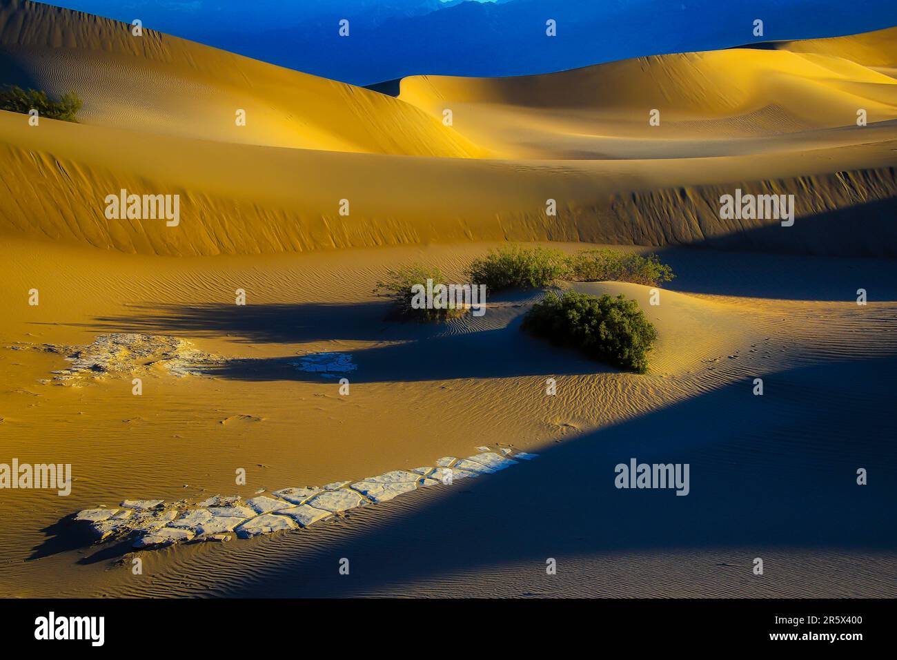 Sunlight And Dune Shadows, Death Valley, California Stock Photo - Alamy