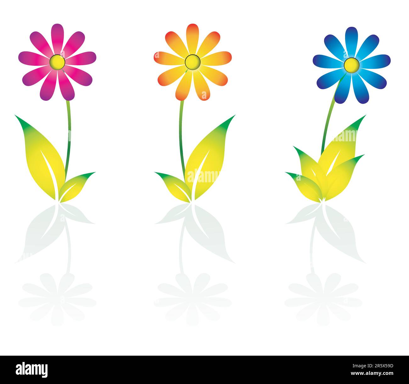 Beauty farm daisy Stock Vector Images - Alamy