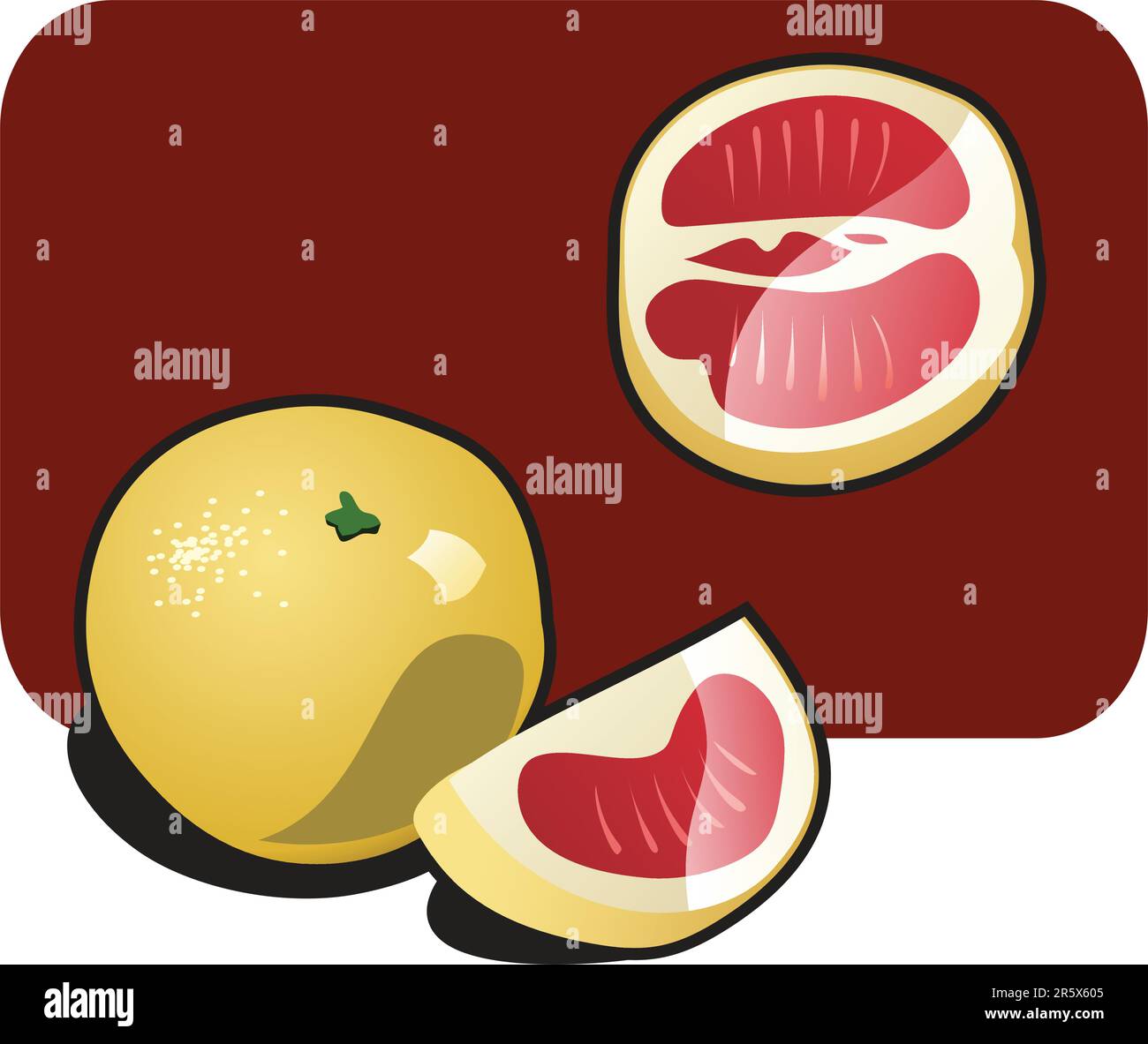 Vector color illustration of a grapefruit Stock Vector Image & Art - Alamy