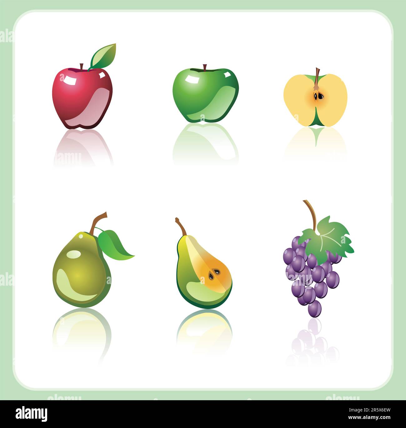 Vector color illustration of a fruits Stock Vector Image & Art - Alamy