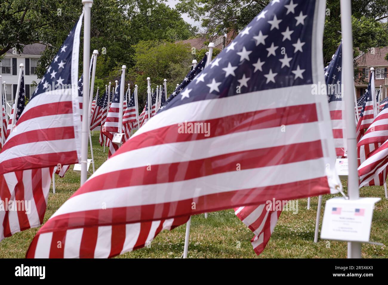 A field of United States flags wave on Memorial Day weekend in honor ...