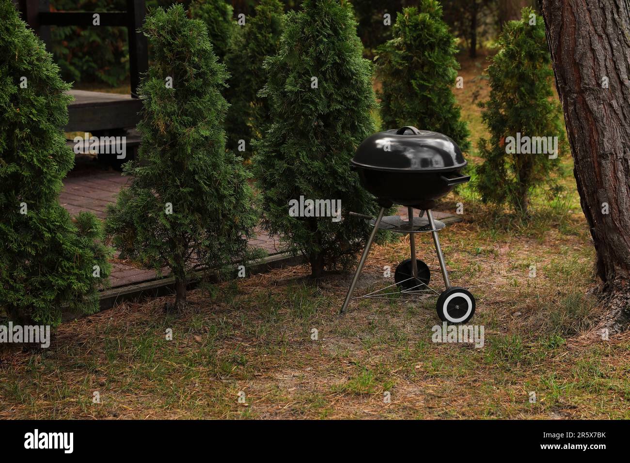 New barbecue grill near green trees in garden Stock Photo - Alamy