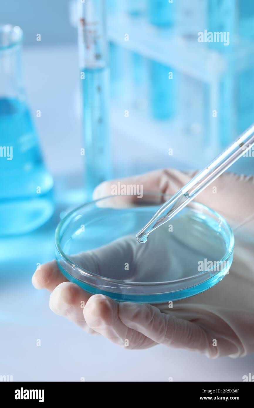 Scientist dripping liquid from pipette into petri dish in laboratory ...
